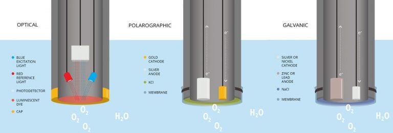 How to Measure Dissolved Oxygen - NexSens