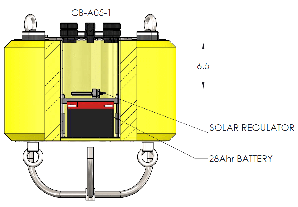 Custom Data Buoy Configuration Guide - NexSens